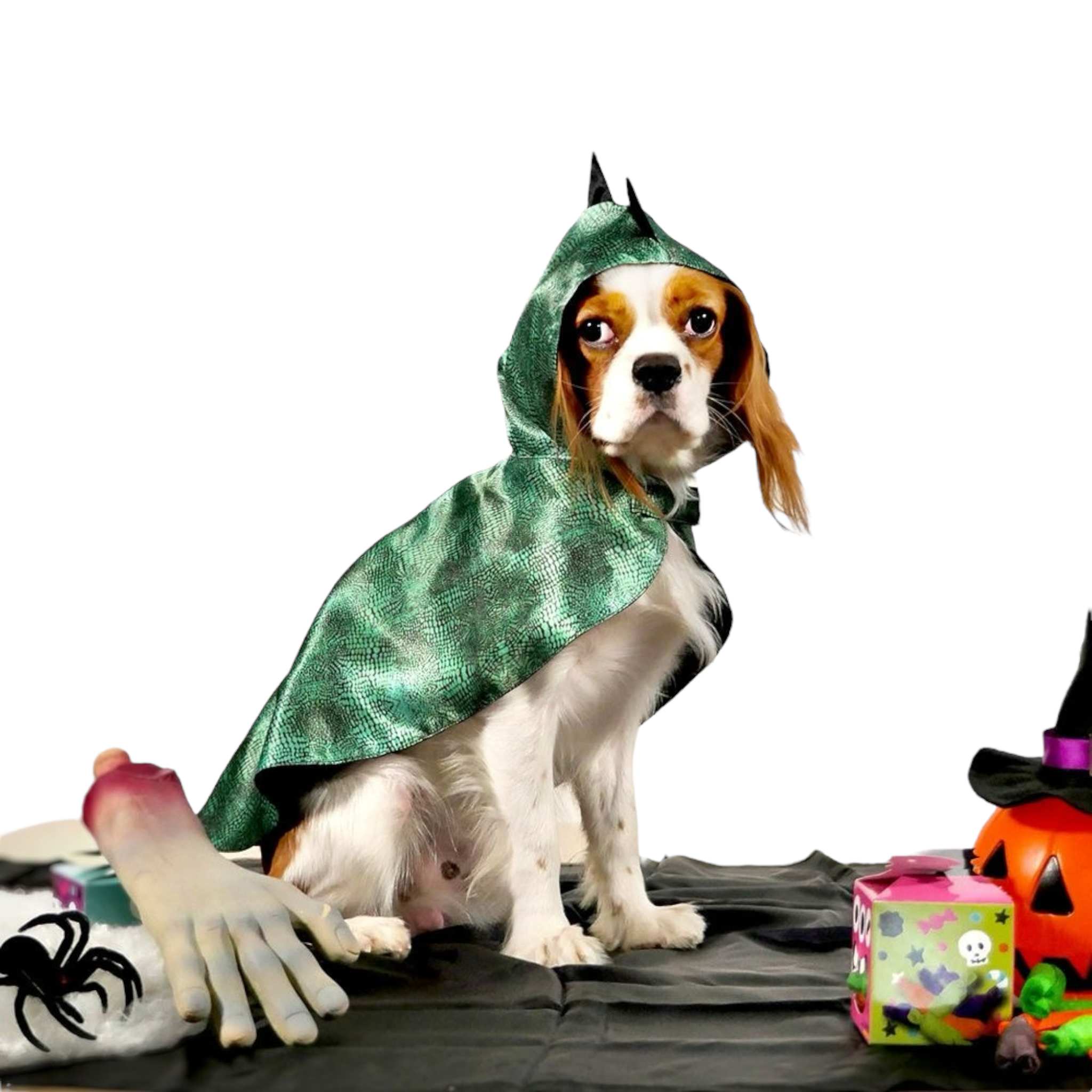 Croci - Tricky Dragon Costume For Dogs – DOG IS GOOD Online Shop